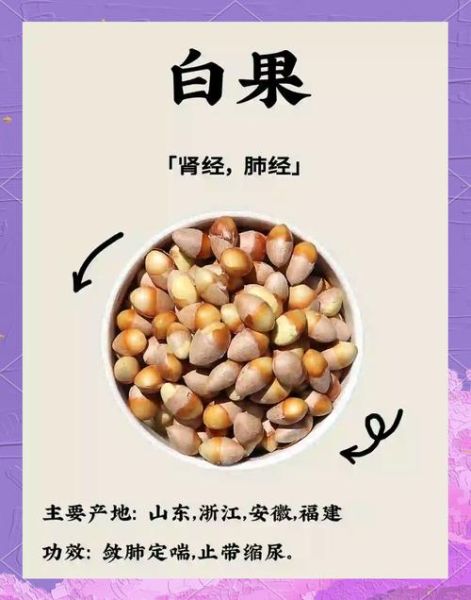 白果怎么吃_白果的食用方法大全-第1张图片-山城妙识 白果怎么吃_白果的食用方法大全-第1张图片-山城妙识