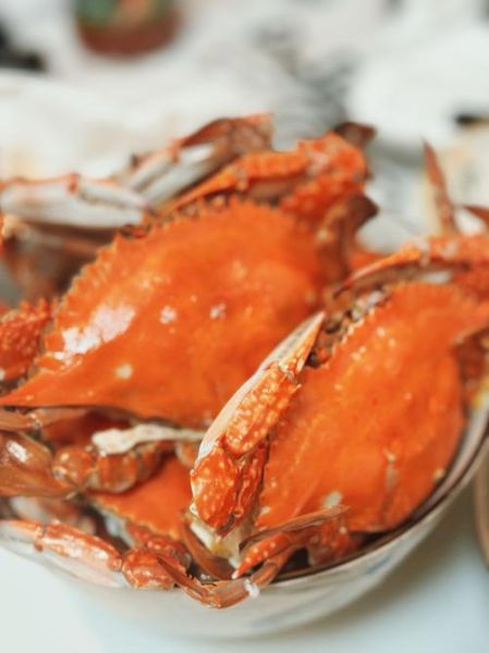 螃蟹吃什么食物为主_家养螃蟹喂什么最好-第3张图片-山城妙识