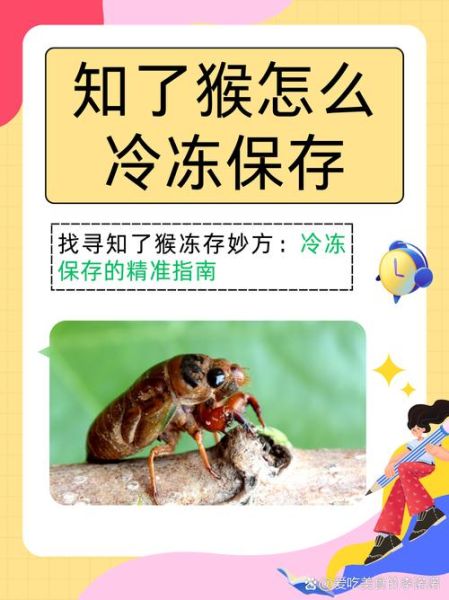 女人吃知了猴的功效与作用_知了猴对女人有什么好处-第3张图片-山城妙识 女人吃知了猴的功效与作用_知了猴对女人有什么好处-第3张图片-山城妙识