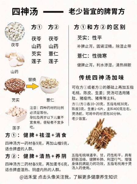 四神汤的功效与作用禁忌_适合哪些人喝-第3张图片-山城妙识