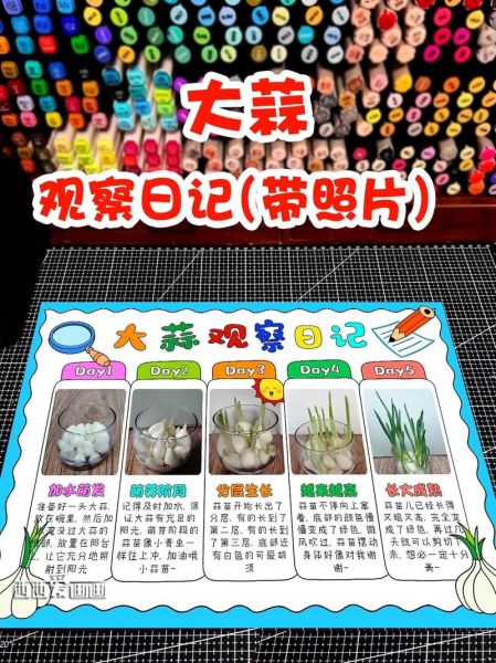 大蒜怎么种_大蒜种植时间-第1张图片-山城妙识 大蒜怎么种_大蒜种植时间-第1张图片-山城妙识