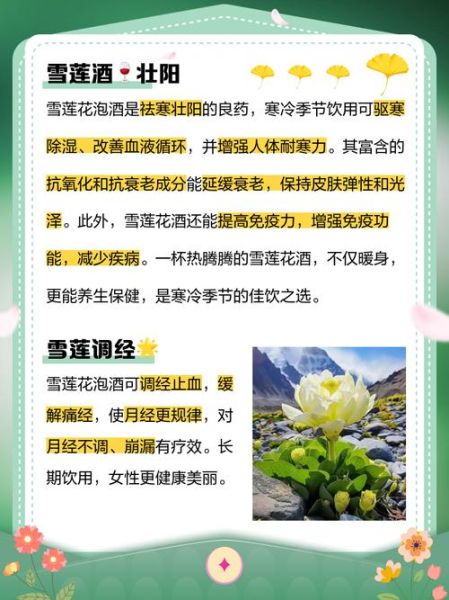 雪莲花泡水喝的禁忌_哪些人不能喝-第2张图片-山城妙识 雪莲花泡水喝的禁忌_哪些人不能喝-第2张图片-山城妙识