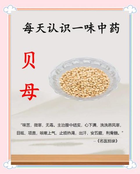 川贝粉哪些人不能吃_川贝粉禁忌人群-第1张图片-山城妙识 川贝粉哪些人不能吃_川贝粉禁忌人群-第1张图片-山城妙识