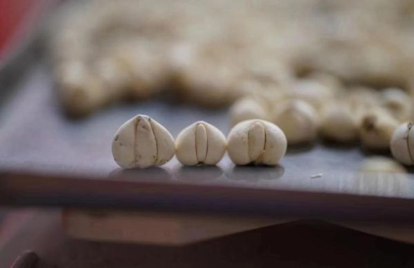 川贝粉怎么吃治咳嗽最好_川贝粉止咳用量一天几次-第1张图片-山城妙识