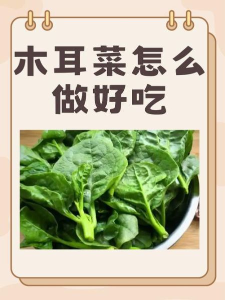 木耳焯水几分钟熟_木耳焯水多久才安全-第3张图片-山城妙识 木耳焯水几分钟熟_木耳焯水多久才安全-第3张图片-山城妙识