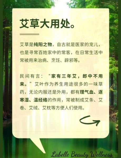 艾草怎么治妇科炎症_艾草治妇科炎症怎么用-第1张图片-山城妙识