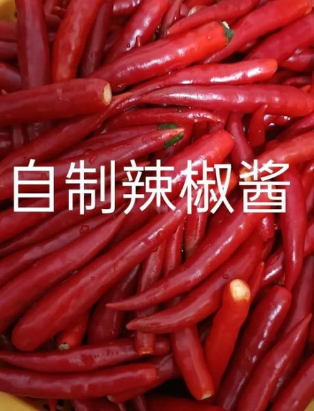 辣椒酱怎么做_家庭自制辣椒酱详细步骤-第2张图片-山城妙识 辣椒酱怎么做_家庭自制辣椒酱详细步骤-第2张图片-山城妙识