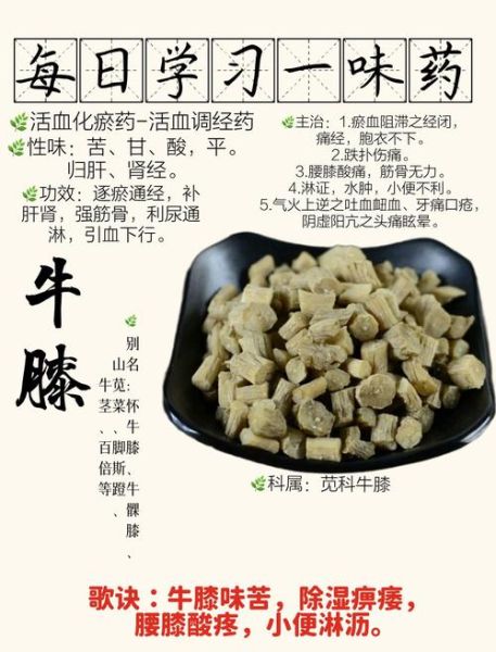 牛膝的功效与作用_牛膝的禁忌人群-第1张图片-山城妙识