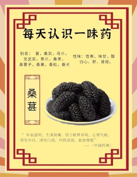 桑椹功效与作用及食用方法_桑椹一天吃多少合适-第2张图片-山城妙识 桑椹功效与作用及食用方法_桑椹一天吃多少合适-第2张图片-山城妙识