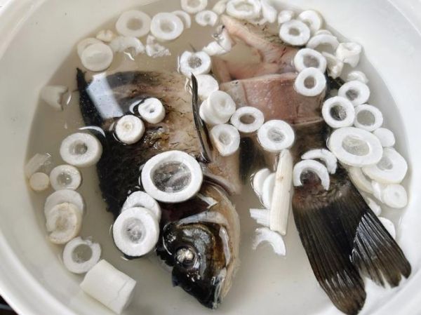 通草鲫鱼汤喝几天见效_哺乳期多久下奶-第2张图片-山城妙识