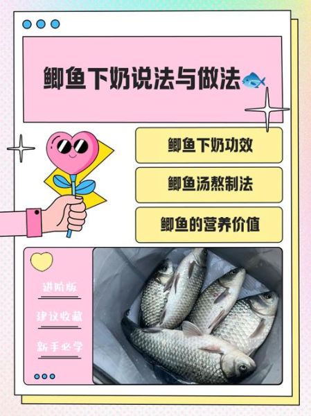 通草鲫鱼汤喝几天见效_哺乳期多久下奶-第1张图片-山城妙识