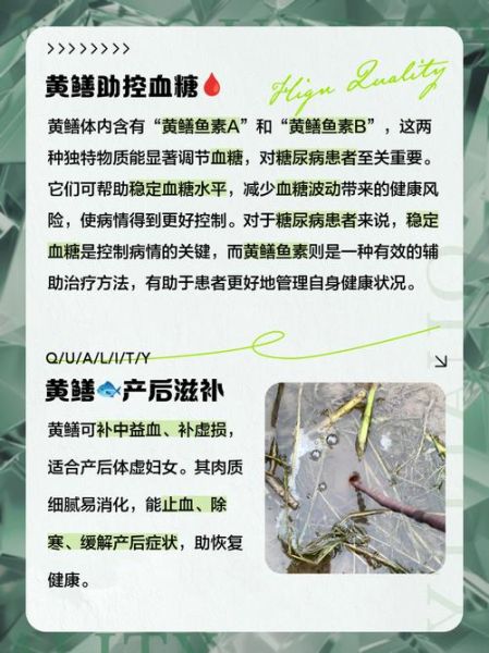 女人吃黄鳝有什么好处和坏处_女性吃黄鳝的利弊-第2张图片-山城妙识 女人吃黄鳝有什么好处和坏处_女性吃黄鳝的利弊-第2张图片-山城妙识