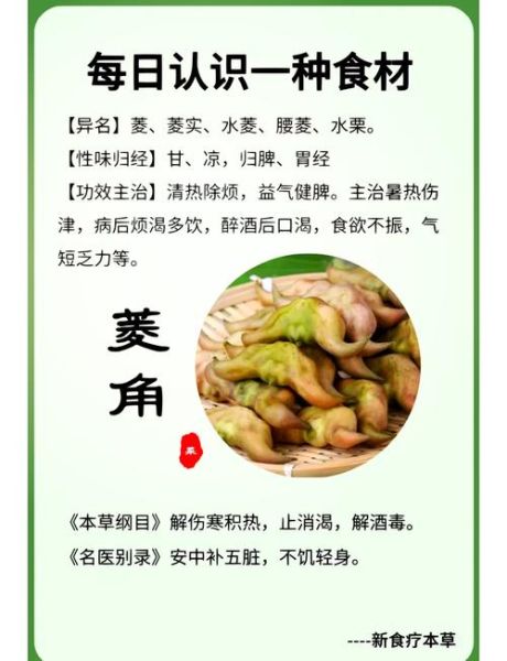 菱角的功效与作用_菱角怎么吃最营养-第1张图片-山城妙识 菱角的功效与作用_菱角怎么吃最营养-第1张图片-山城妙识