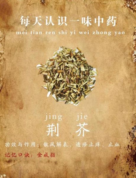 荆芥草的功效与作用_荆芥草能治疗哪些常见病-第2张图片-山城妙识 荆芥草的功效与作用_荆芥草能治疗哪些常见病-第2张图片-山城妙识