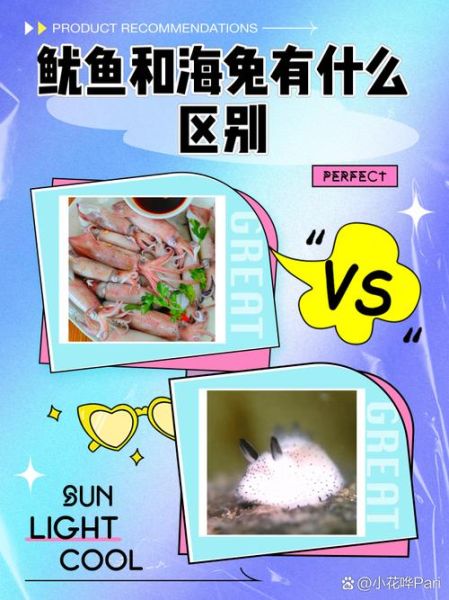 海兔是什么海鲜_海兔和鱿鱼区别-第1张图片-山城妙识