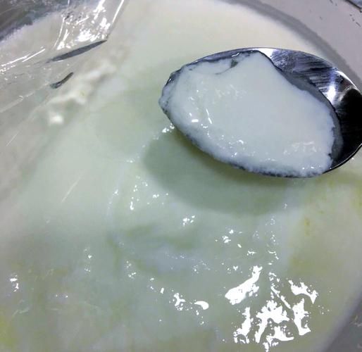 酸奶的家常做法_自制酸奶需要准备什么-第3张图片-山城妙识 酸奶的家常做法_自制酸奶需要准备什么-第3张图片-山城妙识