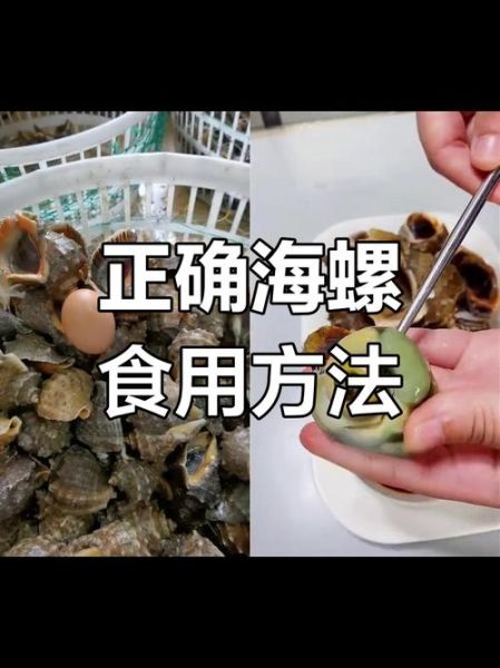 海螺后半截是屎还是黄_怎么分辨能吃部位-第1张图片-山城妙识