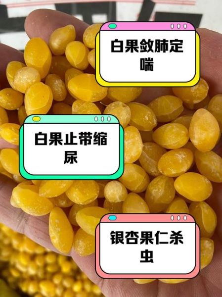 白果的正确吃法与功效_怎么去外壳-第1张图片-山城妙识