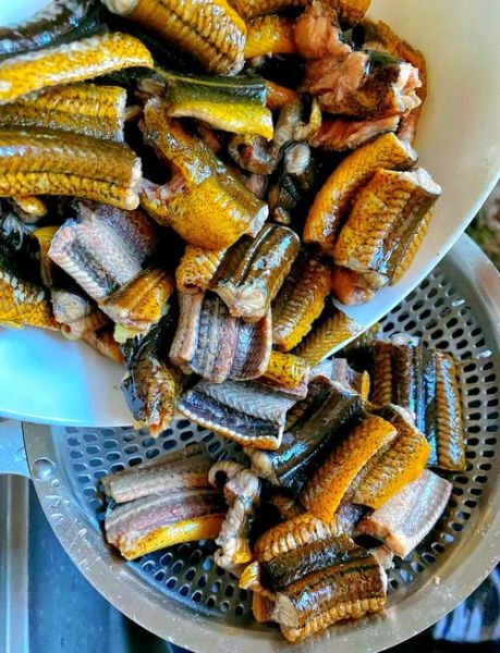 爆炒黄鳝怎么做好吃_黄鳝去腥技巧-第2张图片-山城妙识 爆炒黄鳝怎么做好吃_黄鳝去腥技巧-第2张图片-山城妙识