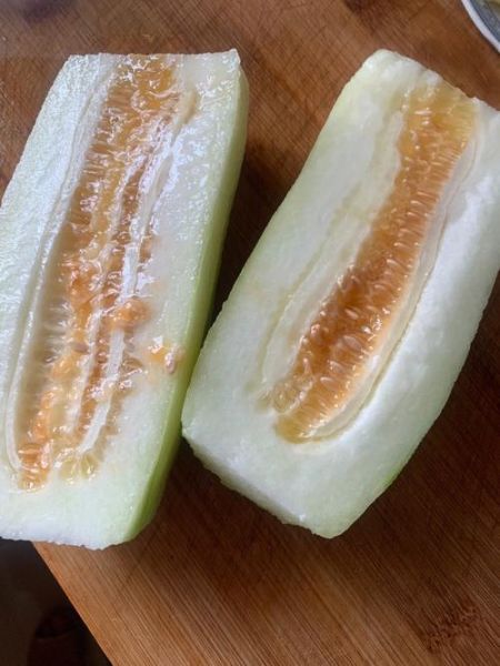 菜瓜图片大全大图_菜瓜长什么样-第3张图片-山城妙识 菜瓜图片大全大图_菜瓜长什么样-第3张图片-山城妙识