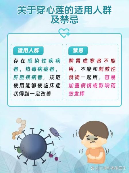 穿心莲片主治什么病_穿心莲片的功效与作用-第2张图片-山城妙识