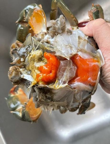 爆炒螃蟹怎么做才入味_爆炒螃蟹要不要焯水-第2张图片-山城妙识 爆炒螃蟹怎么做才入味_爆炒螃蟹要不要焯水-第2张图片-山城妙识