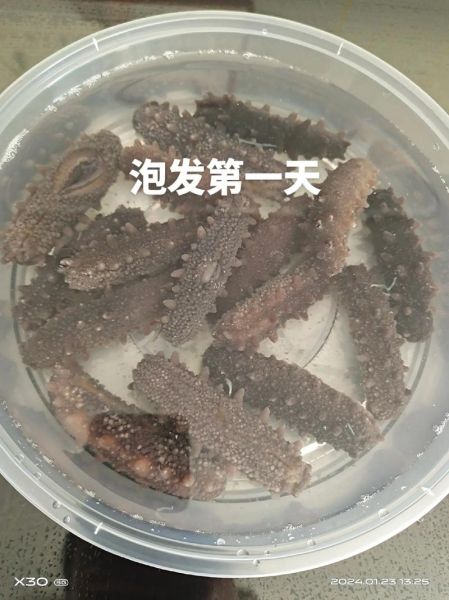 海参泡发后煮多久_海参煮多久才软糯-第2张图片-山城妙识 海参泡发后煮多久_海参煮多久才软糯-第2张图片-山城妙识