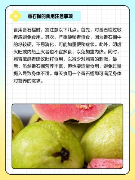 番石榴怎么吃籽_番石榴籽能不能吃-第3张图片-山城妙识 番石榴怎么吃籽_番石榴籽能不能吃-第3张图片-山城妙识