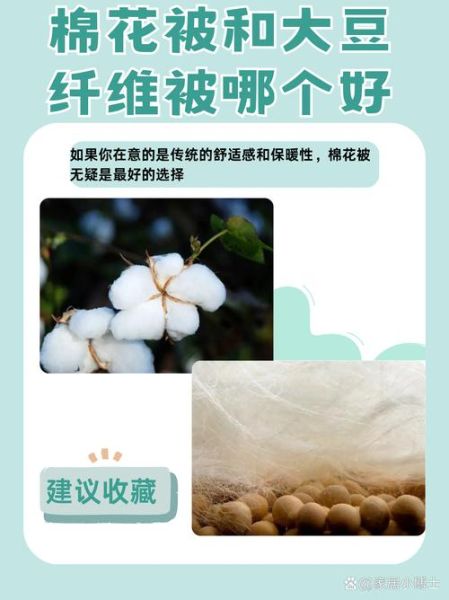 大豆纤维被怎么选_大豆纤维被优缺点-第2张图片-山城妙识 大豆纤维被怎么选_大豆纤维被优缺点-第2张图片-山城妙识
