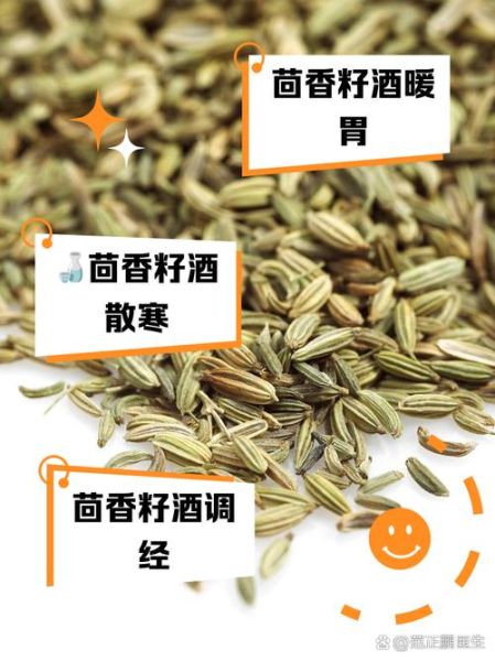 茴香籽怎么吃_茴香籽的功效与作用-第3张图片-山城妙识 茴香籽怎么吃_茴香籽的功效与作用-第3张图片-山城妙识