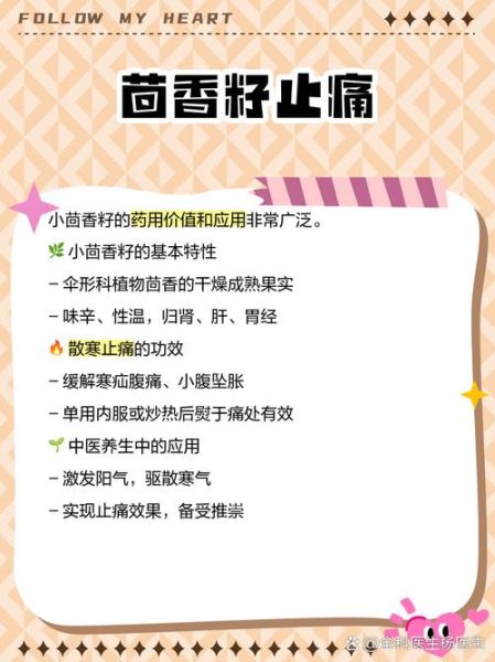 茴香籽怎么吃_茴香籽的功效与作用-第1张图片-山城妙识 茴香籽怎么吃_茴香籽的功效与作用-第1张图片-山城妙识