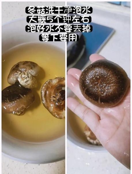 新鲜冬菇焖鸡怎么做_冬菇焖鸡用干菇还是鲜菇-第3张图片-山城妙识