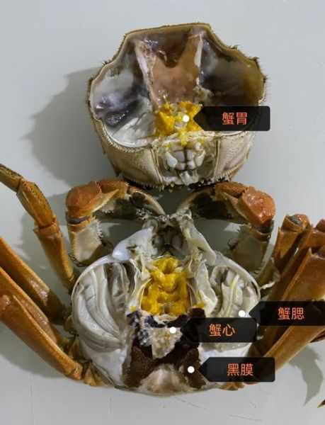 螃蟹哪里能吃哪里不能吃_螃蟹哪些部位不能吃-第1张图片-山城妙识