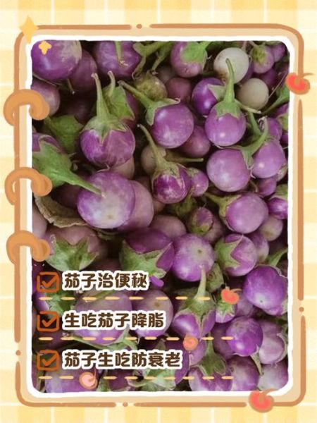 吃生茄子真的能减肥吗_生茄子减肥原理-第1张图片-山城妙识 吃生茄子真的能减肥吗_生茄子减肥原理-第1张图片-山城妙识