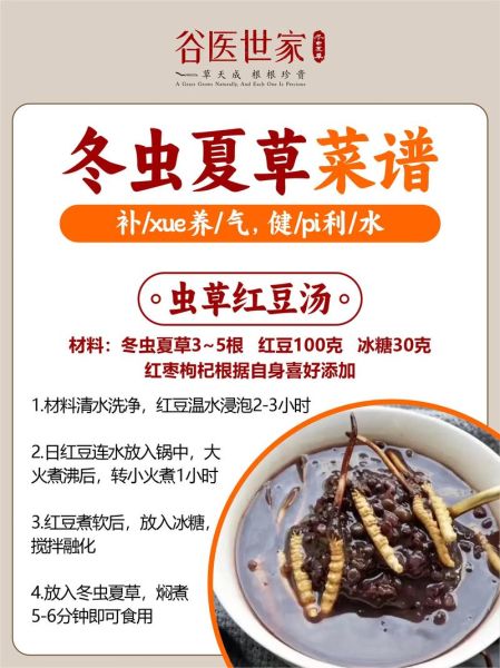 冬虫夏草怎么吃效果最好_冬虫夏草的正确吃法-第3张图片-山城妙识