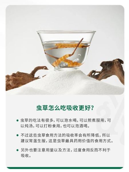 冬虫夏草怎么吃效果最好_冬虫夏草的正确吃法-第1张图片-山城妙识