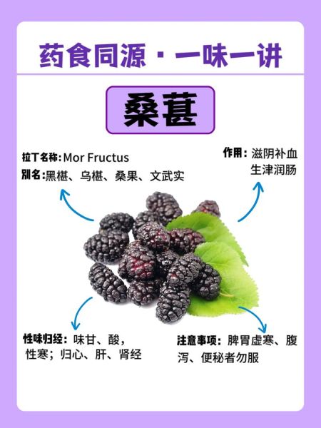 桑葚果的功效与作用_桑葚果怎么吃效果最好-第2张图片-山城妙识 桑葚果的功效与作用_桑葚果怎么吃效果最好-第2张图片-山城妙识