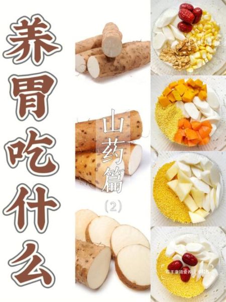 女生胃不好吃什么养胃_胃疼吃什么食物好-第1张图片-山城妙识