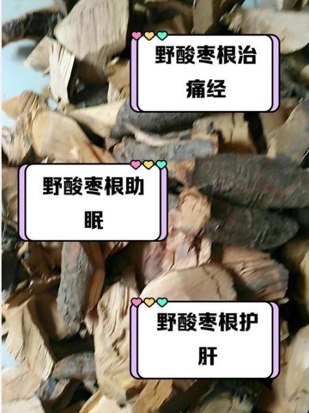 野酸枣泡水喝的功效_野酸枣泡水喝的禁忌-第1张图片-山城妙识 野酸枣泡水喝的功效_野酸枣泡水喝的禁忌-第1张图片-山城妙识