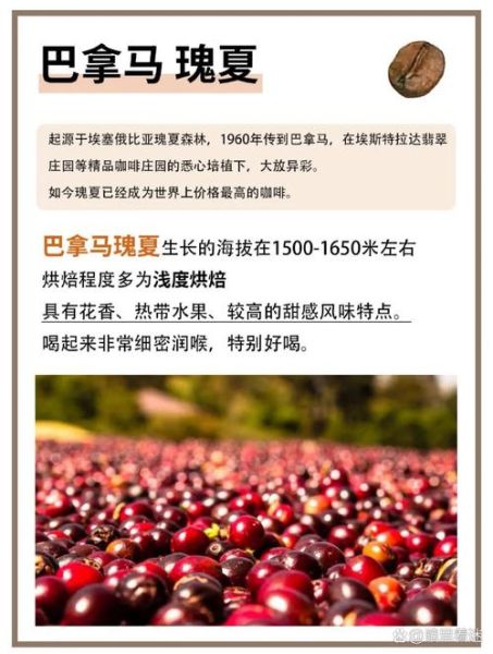 哥伦比亚咖啡豆和阿拉比卡咖啡豆区别_哪个更好喝-第2张图片-山城妙识