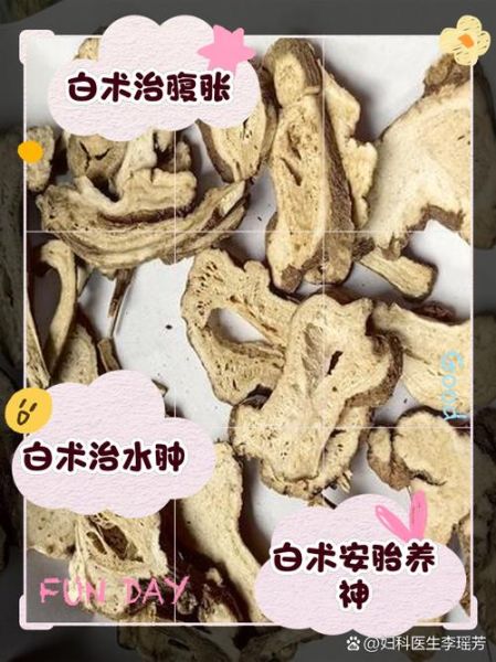 白术的功效与作用是什么_白术适合哪些人群-第2张图片-山城妙识 白术的功效与作用是什么_白术适合哪些人群-第2张图片-山城妙识