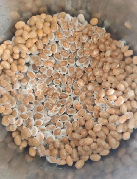 不用纳豆菌怎么做纳豆_家常版零失败做法-第2张图片-山城妙识