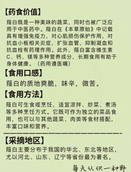 大蒜的功效与作用_大蒜的禁忌人群有哪些-第1张图片-山城妙识 大蒜的功效与作用_大蒜的禁忌人群有哪些-第1张图片-山城妙识