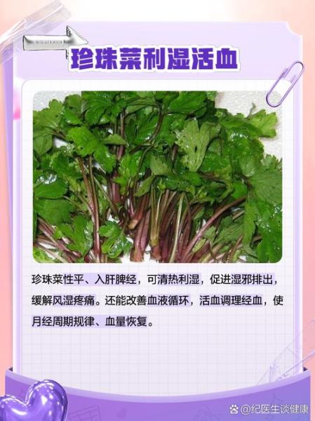 珍珠菜的功效与作用_珍珠菜怎么吃最好-第1张图片-山城妙识 珍珠菜的功效与作用_珍珠菜怎么吃最好-第1张图片-山城妙识