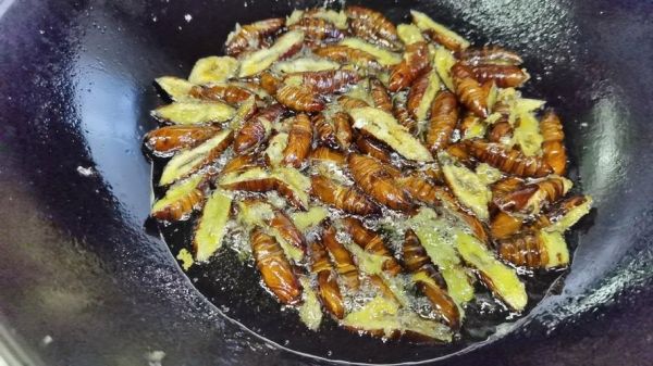 干煸蚕蛹怎么做_东北家常干煸蚕蛹做法-第2张图片-山城妙识