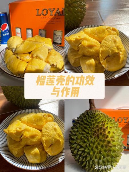 榴莲壳能吃吗_榴莲壳怎么利用-第3张图片-山城妙识 榴莲壳能吃吗_榴莲壳怎么利用-第3张图片-山城妙识