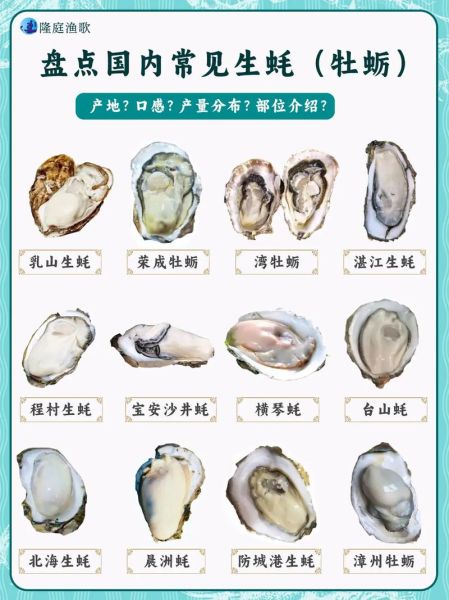 海蛎子和生蚝的区别_哪个营养价值更高-第3张图片-山城妙识