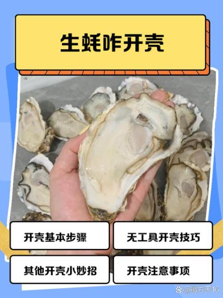 生蚝怎么开壳_开生蚝壳最简单方法-第1张图片-山城妙识 生蚝怎么开壳_开生蚝壳最简单方法-第1张图片-山城妙识