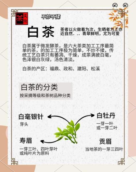 白茶的功效与作用及禁忌_什么人不能喝白茶-第3张图片-山城妙识 白茶的功效与作用及禁忌_什么人不能喝白茶-第3张图片-山城妙识