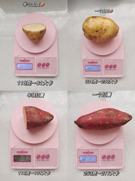 芋头热量高还是红薯热量高_减肥选哪个-第1张图片-山城妙识 芋头热量高还是红薯热量高_减肥选哪个-第1张图片-山城妙识